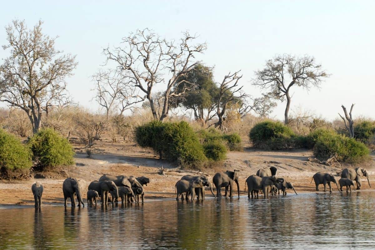 Botswana Work Visa: Application Steps & Key Requirements